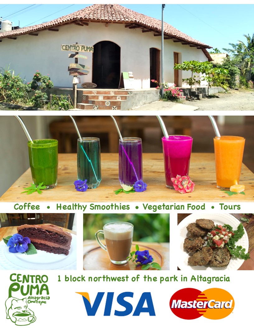 Centro PUMA – Guias Unidos